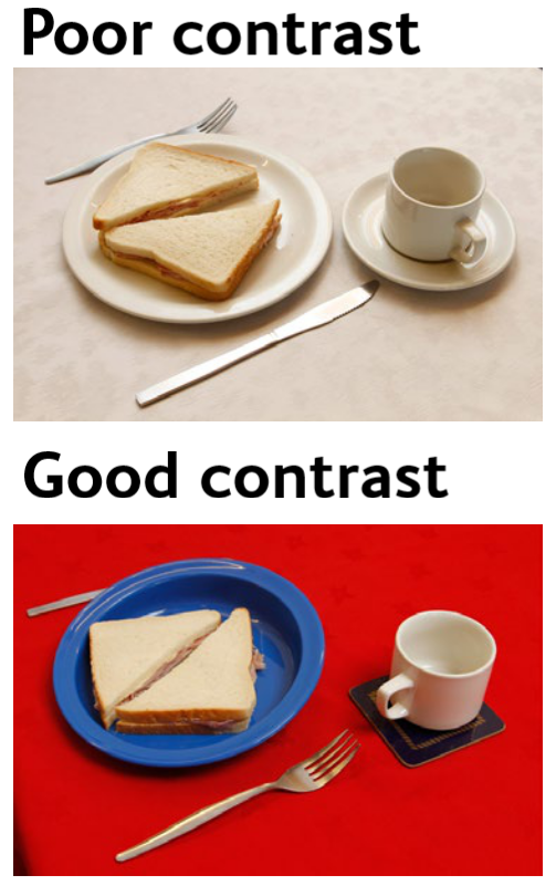 Contrast - Visibility Scotland - You don't need sight to have vision.